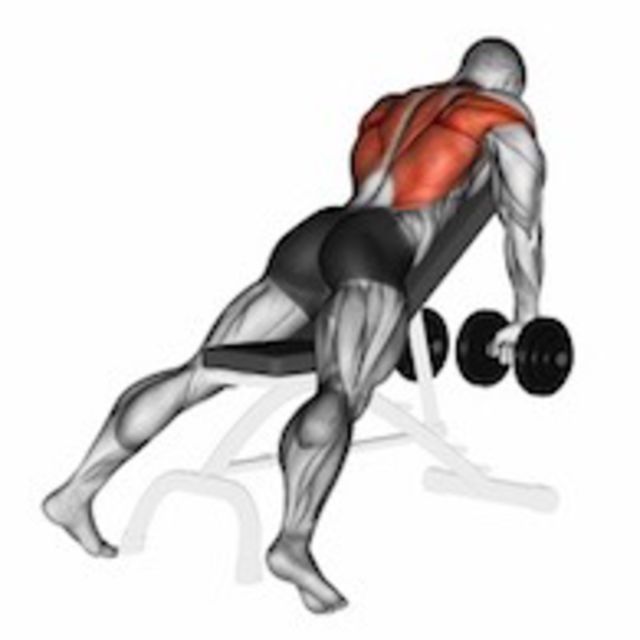 45 Incline Dumbell Row - Exercise How-to - Workout Trainer by Skimble