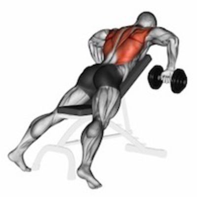 Dumbbell Tripod Row by George Ivanyan - Exercise How-to - Skimble