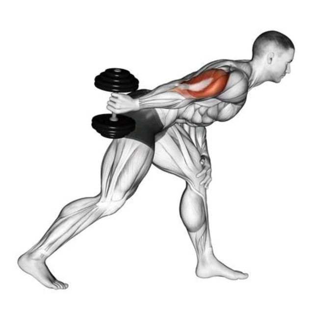 Dumbbell Kickbacks by Richard Terry Jr - Exercise How-to - Skimble
