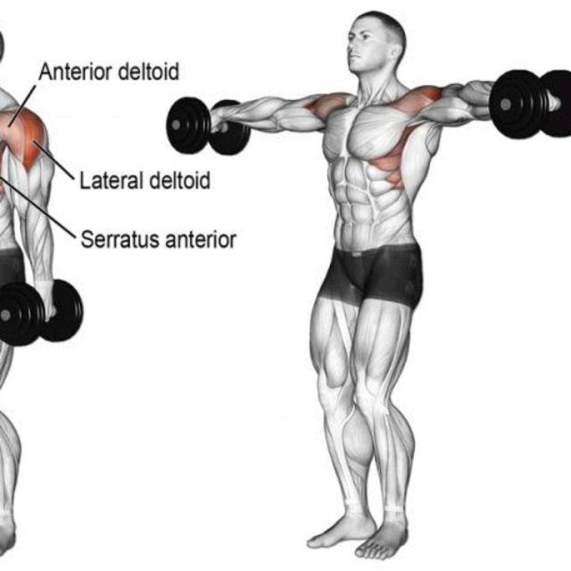 Laterals With Weights by Princess Tita Dean - Exercise How-to - Skimble