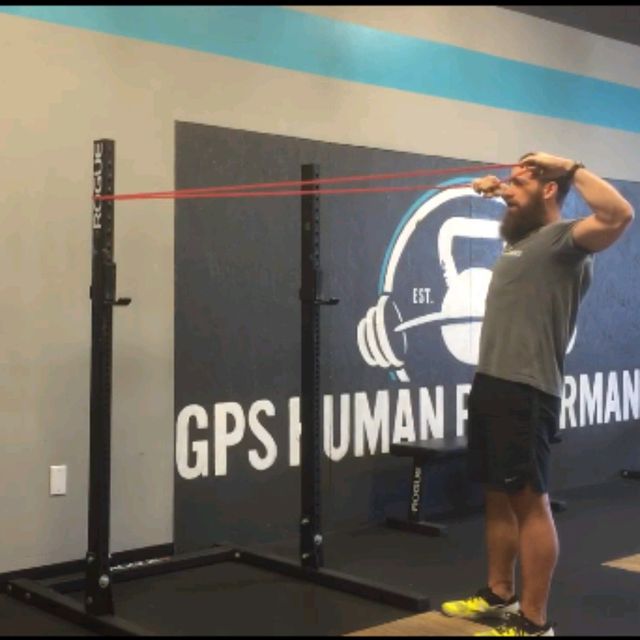 Band Face Pull by Francisco Perez - Ejercicio Cómo hacerlo - Skimble