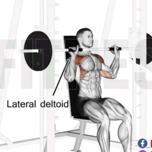 Smith Shoulder Press by David M. - Exercise How-to - Skimble