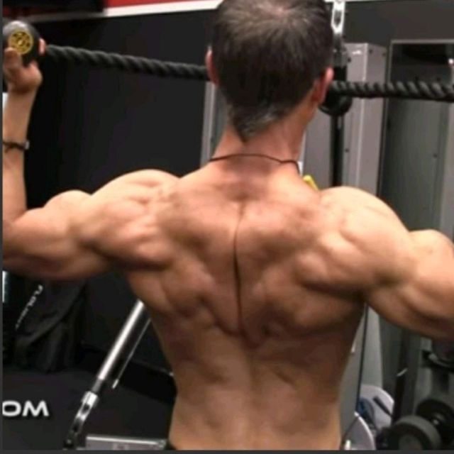 Face Pulls by 𝔻𝕖𝕤𝕖𝕣𝕥 𝔽𝕠𝕩🦊 🌟 - Exercise How-to - Skimble