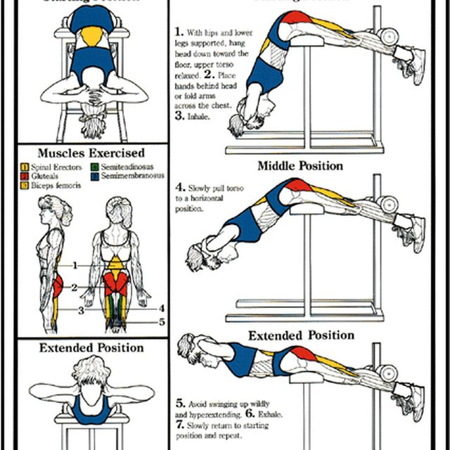 Back Extension by Stephanie Franklin - Exercise How-to - Skimble