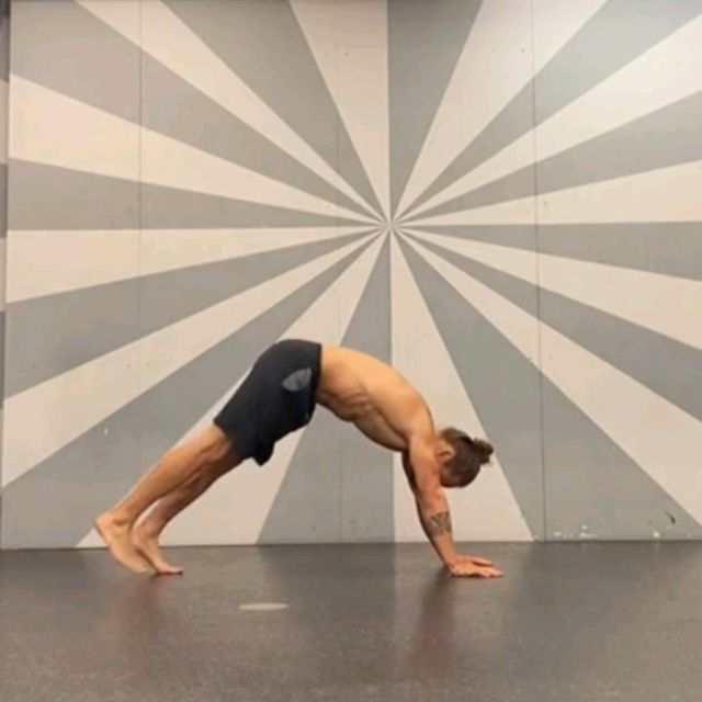 Advanced Inchworm by Alex 🌊. - Exercise How-to - Skimble