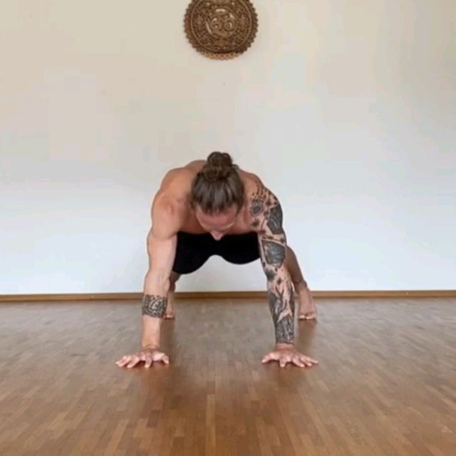 Turtle Push Ups Lev 2 by Alex 🌊. - Exercise How-to - Skimble