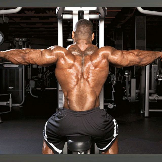 Reverse Pec Deck by Martel Berry - Exercise How-to - Skimble