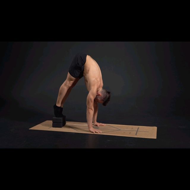Push Up Walks - Feet elevated on 2 Blocks by Alex 🌊. - Exercise How-to ...