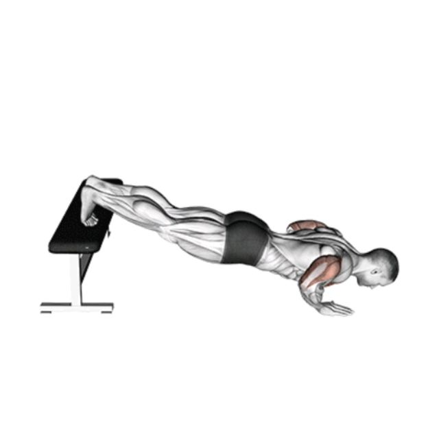 Decline Push Ups by Albert Tiger - Exercise How-to - Skimble