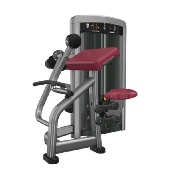 LF Biceps by Dave F. - Exercise How-to - Skimble Workout Trainer