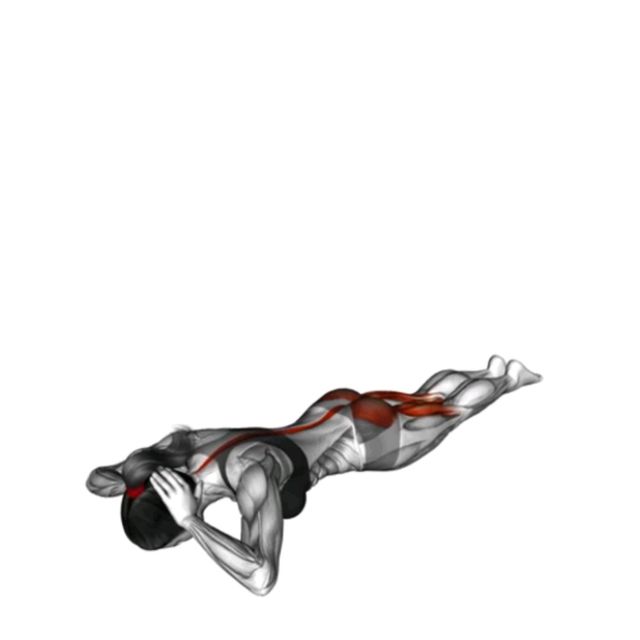 Back Extension by Albert Tiger - Exercise How-to - Skimble