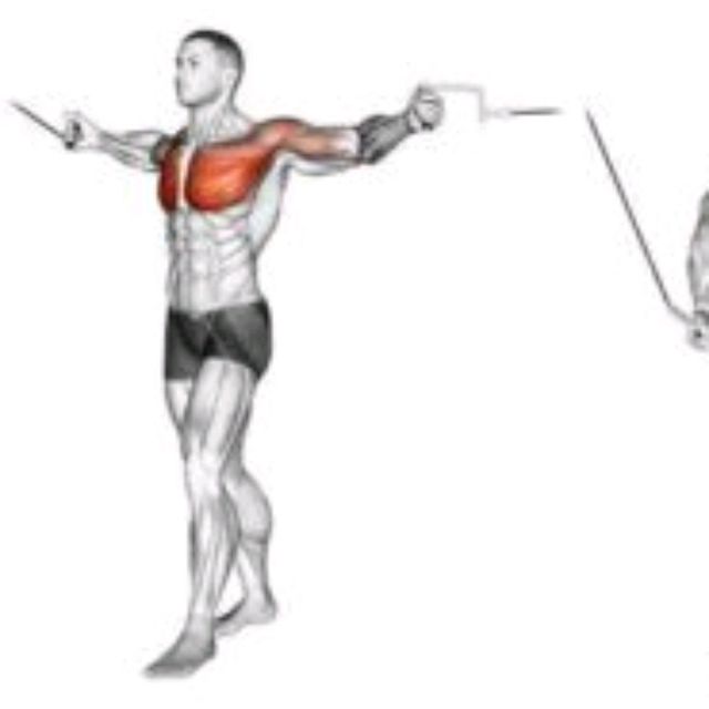 Cable Crossover Flys by Richard Terry Jr - Exercise How-to - Skimble