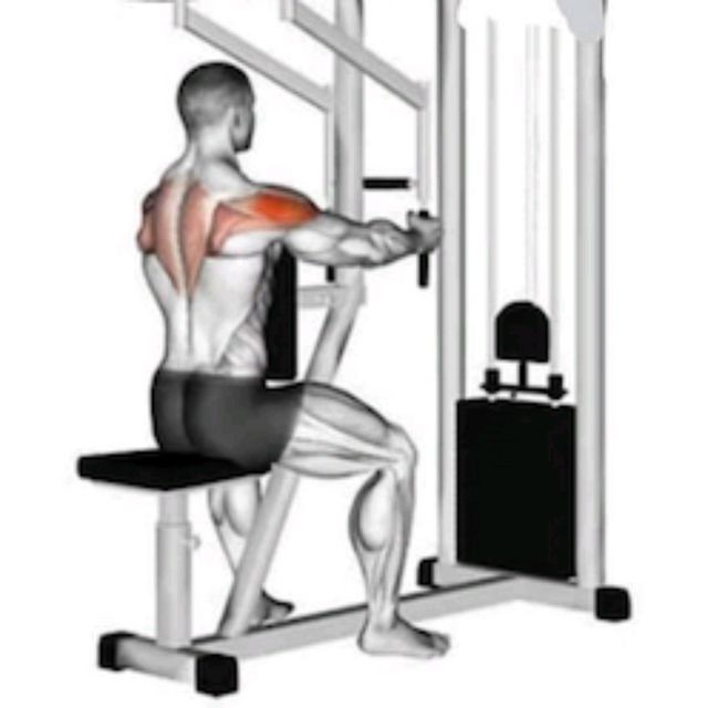 Pec Deck Rear Delt by Richard Terry Jr - Exercise How-to - Skimble