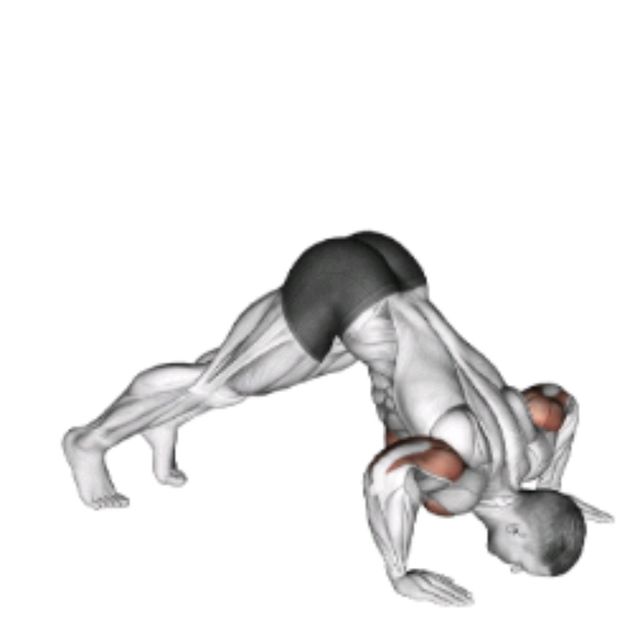 Pike Push Up by Albert Tiger - Exercise How-to - Skimble