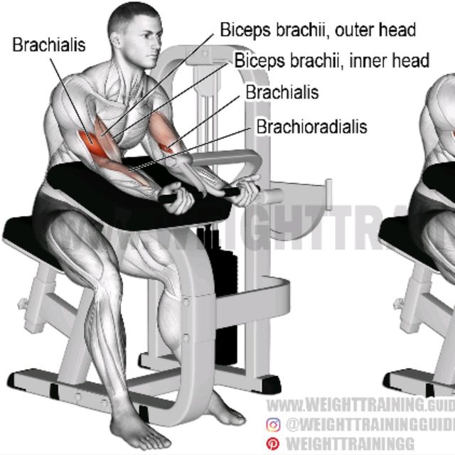 Preacher Curl - Exercise How-to - Workout Trainer by Skimble