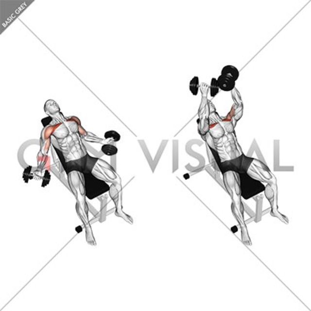 hyght dumbbell fly by Aiden Nicks - Exercise How-to - Skimble