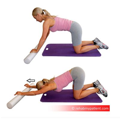 Quadruped by Paul F. - Exercise How-to - Skimble Workout Trainer