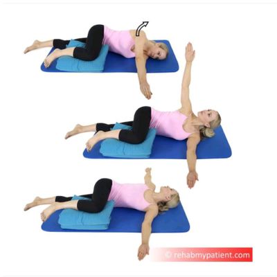 Quadruped by Paul F. - Exercise How-to - Skimble Workout Trainer