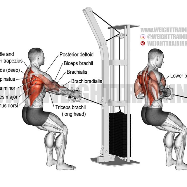 Low Standing Cable Rows by Elizabeth Helmick - Exercise How-to - Skimble