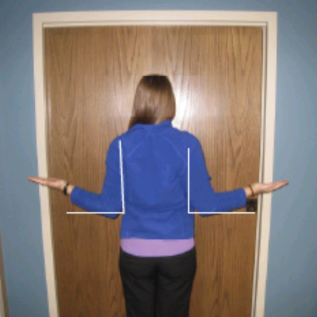 L Exercise by Vincent H. - Exercise How-to - Skimble