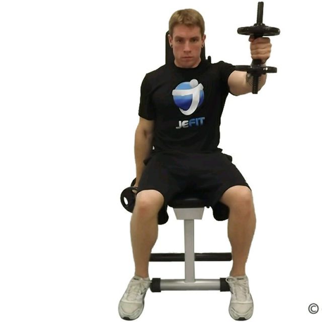 Dumbbell Seated Alternate Front Raise par Reese Dawson - Comment faire ...