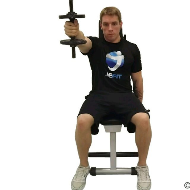 Dumbbell Seated Alternate Front Raise by Reese Dawson - Exercise How-to ...