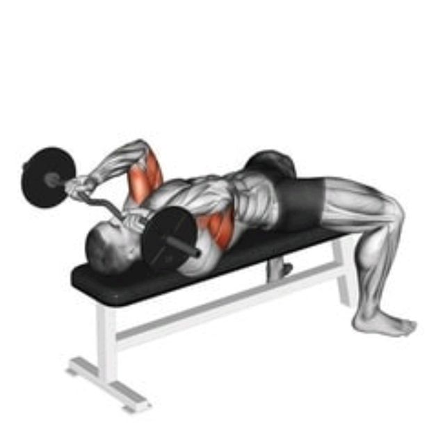 Lying Triceps Extension by Richard Terry Jr - Exercise How-to - Skimble