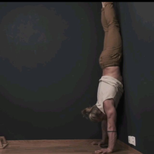 Wall Push In(Facing Wall) by Alex 🌊. - Exercise How-to - Skimble