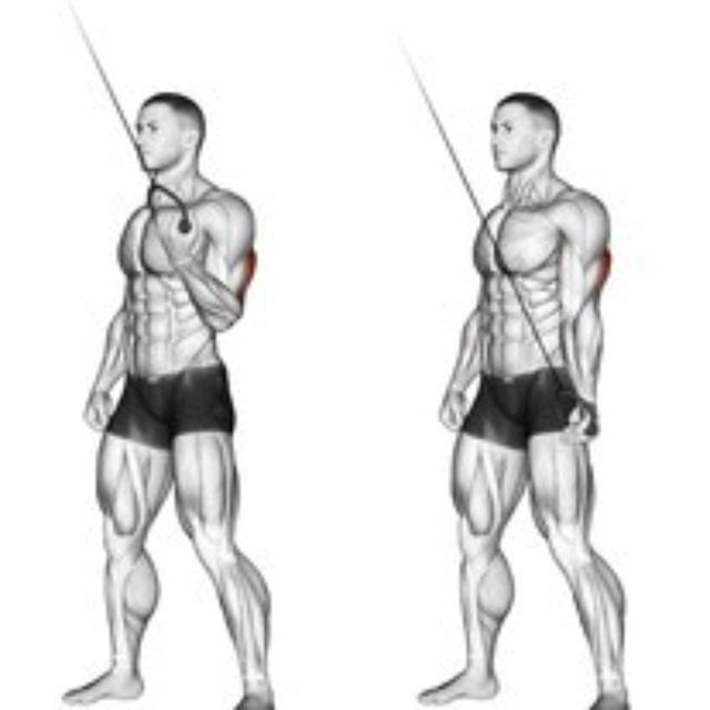 One Arm Reverse Pull Down by Richard Terry Jr - Exercise How-to - Skimble