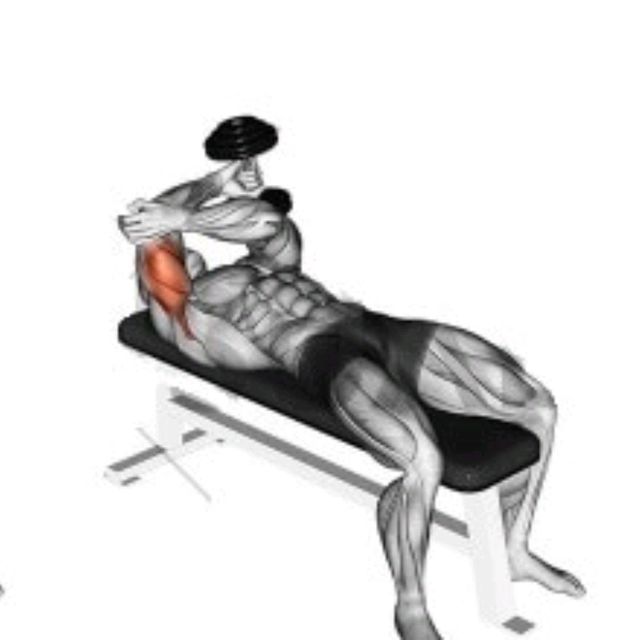 Lying Dumbbell Extension by Richard Terry Jr - Exercise How-to - Skimble
