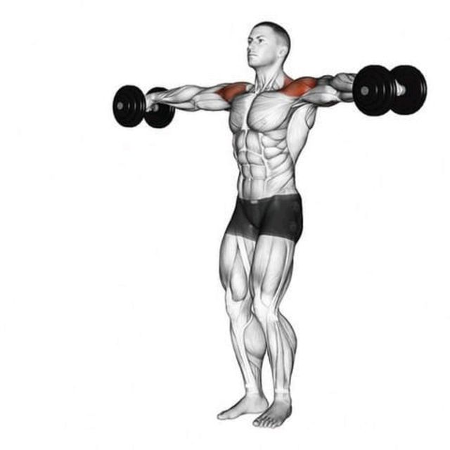 Dumbbell Lateral Raise by Richard Terry Jr - Exercise How-to - Skimble