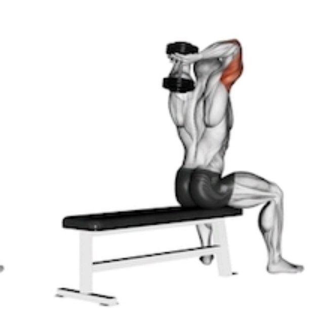 Seated Dumbbell Extension by Richard Terry Jr - Exercise How-to - Skimble