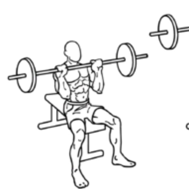 Seated Front Press - Exercise How-to - Workout Trainer by Skimble