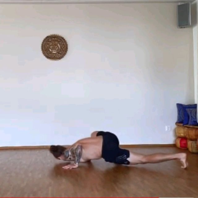 Lizard Crawl - Exercise How-to - Workout Trainer by Skimble