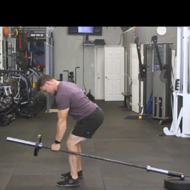 Landmine SA Row by Francisco Perez - Ejercicio Cómo hacerlo - Skimble