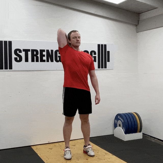 Dumbbell Standing Triceps Press (Right) by Ömer Köseoğlu - Exercise How ...