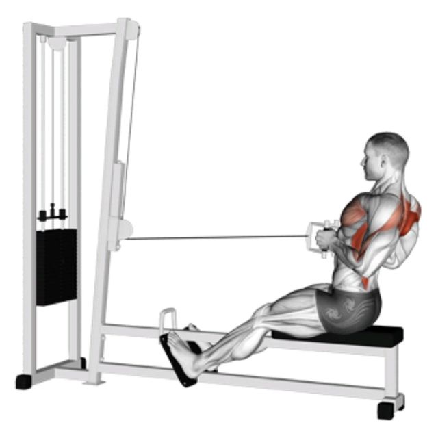 Close Grip Seated Row by Richard Terry Jr - Exercise How-to - Skimble