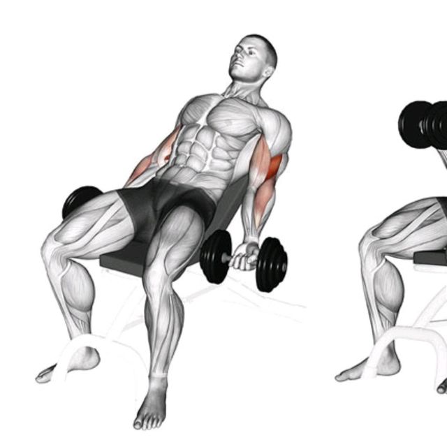 Incline Dumbbell Curl - Exercise How-to - Workout Trainer by Skimble