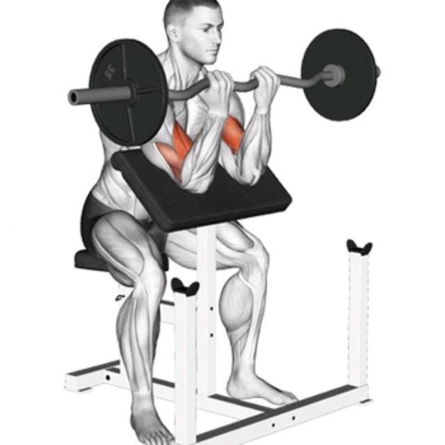 Preacher Curl by Richard Terry Jr - Exercise How-to - Skimble