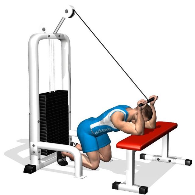 Kneeling Cable Tricep Extensions by Elizabeth Helmick - Exercise How-to ...