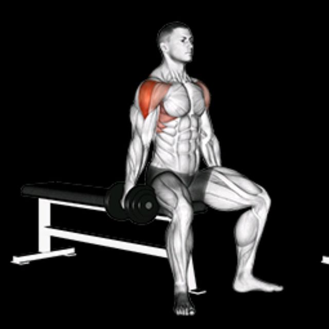 Seated Dumbbell Lateral Raises by Richard Terry Jr - Exercise How-to ...