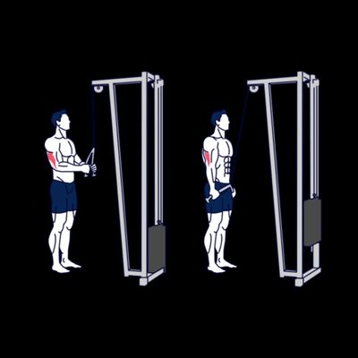 Dips by Zain Mahmood - Exercise How-to - Skimble Workout Trainer