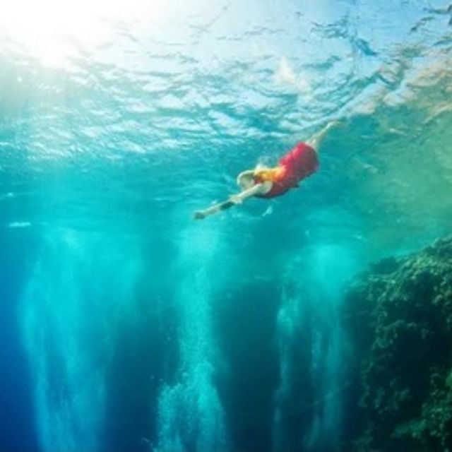 Swim Like A Fish by ᗪ𝕚ᗰเ𝕥ℝ𝔞 𝐓 - Exercise How-to - Skimble