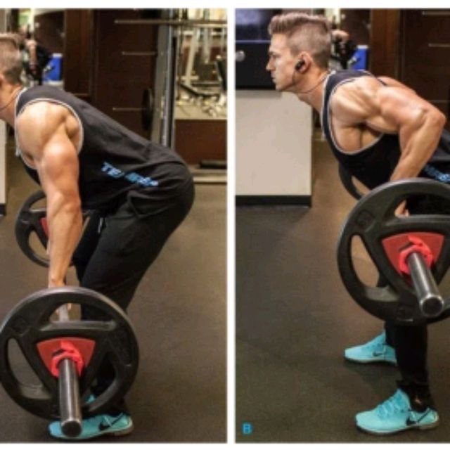 Wide Grip Barbell Row by 𝔻𝕖𝕤𝕖𝕣𝕥 𝔽𝕠𝕩🦊 🌟 - Exercise How-to - Skimble