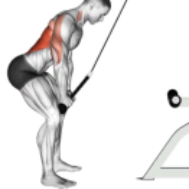 Straight Bar Cable Pulldown - Exercise How-to - Workout Trainer by Skimble