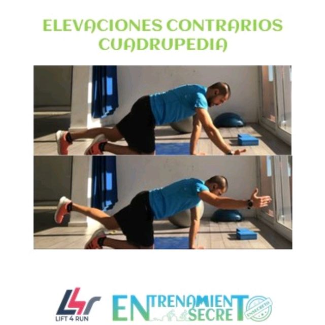 Bird Dog Mano Izquierda by Jose Carlos Moreno Perez - Ejercicio Cómo ...