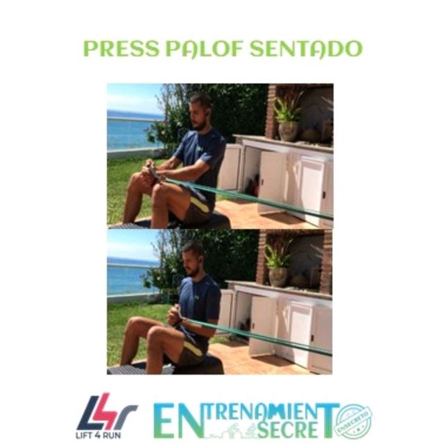 Press Paloff Derecho Sentado by Jose Carlos Moreno Perez - Ejercicio ...