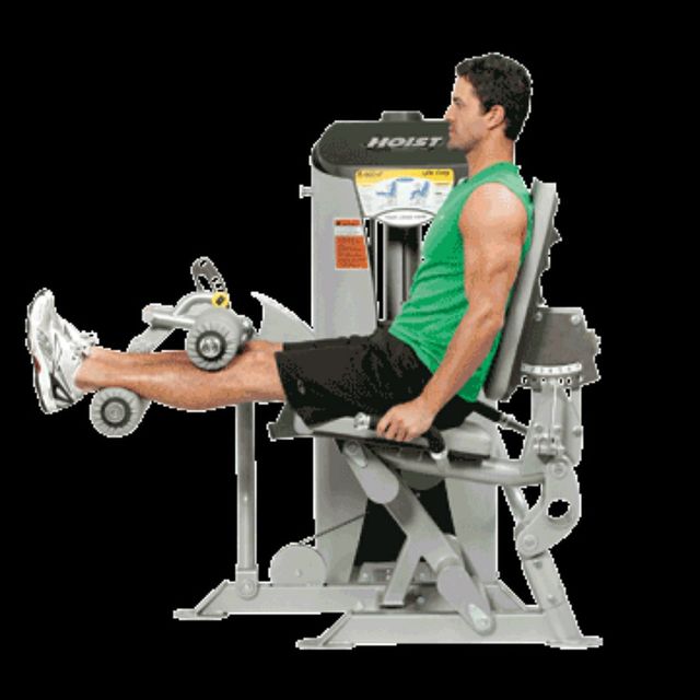 Seated Leg Curl - Exercise How-to - Workout Trainer by Skimble