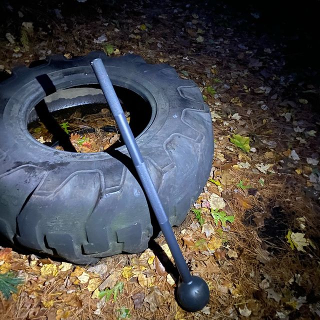 Tire Slam por Channing Ferrer - Ejercicio Cómo hacerlo - Skimble