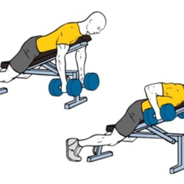 Bench Row by Oscar Eduardo Jimenez Carmona - Exercise How-to - Skimble